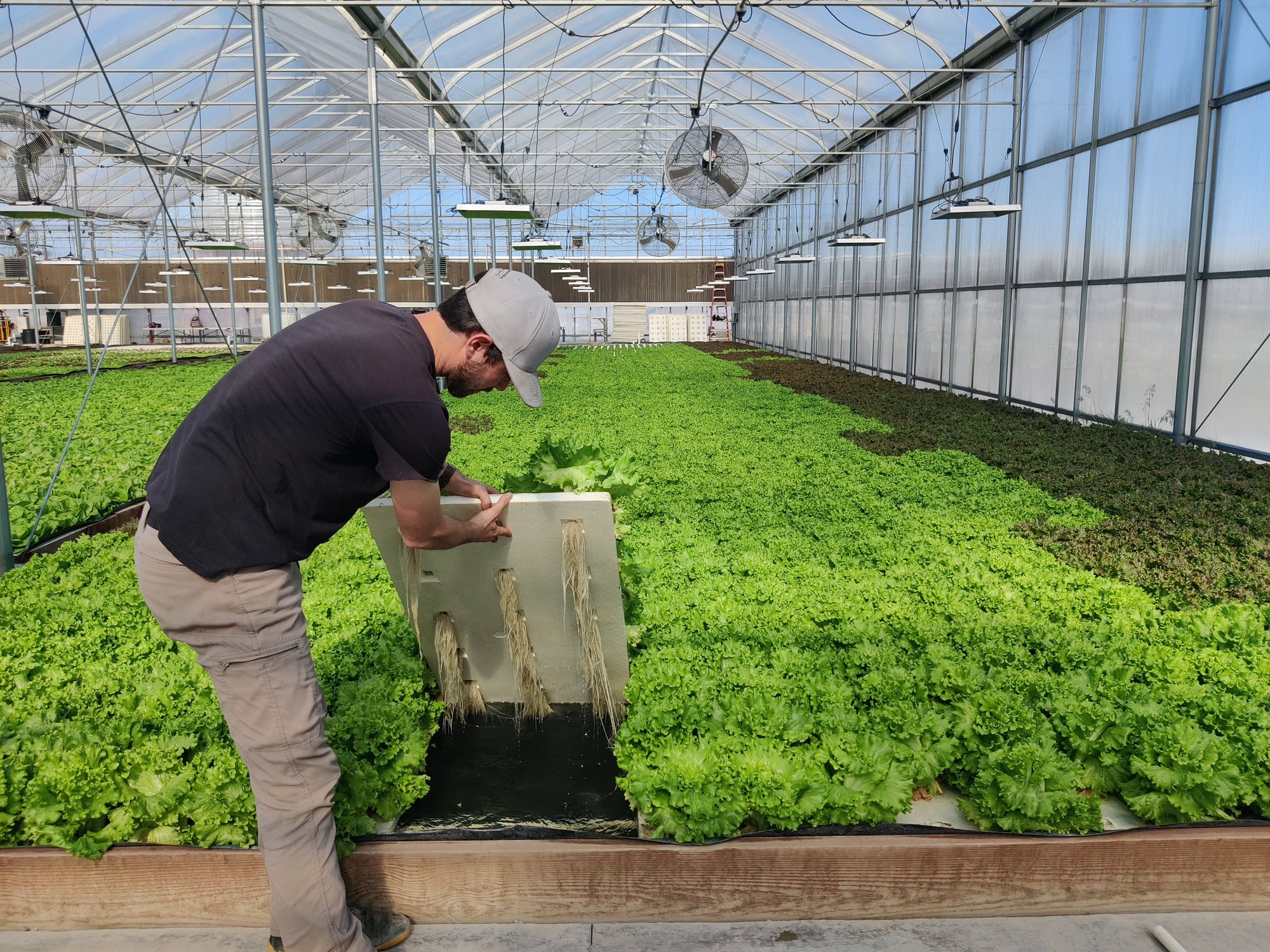 GreenEase | Farming Tools & Software for Growers | Drop Seeders